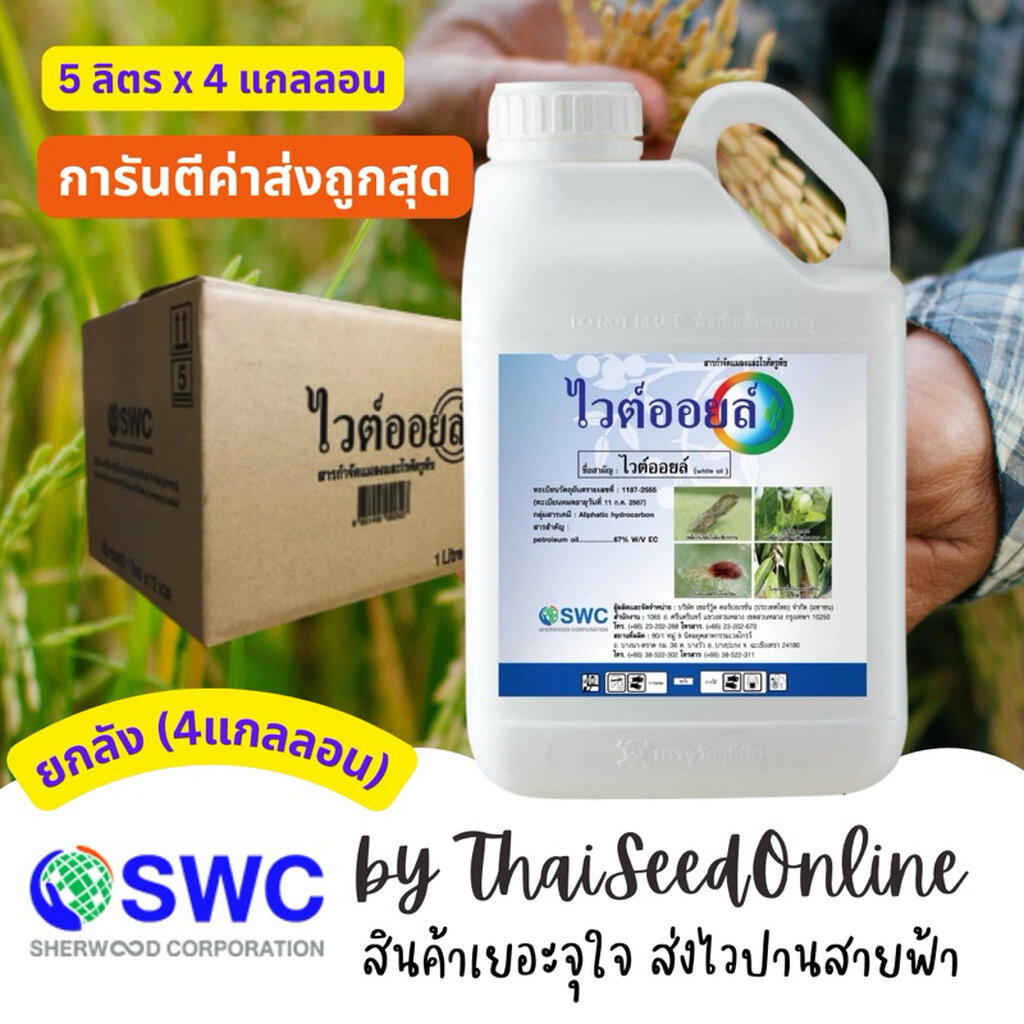 Chaindrite(เชนไดร้ท์) 📦ยกลัง📦 ไวต์ออยล์ แกลลอน 5 ลิตร (1 ลัง มี 4 ...