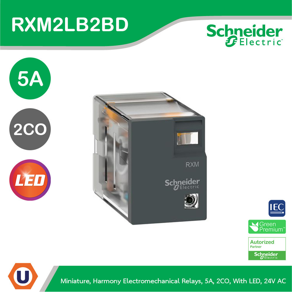 Schneider RXM2LB2BD รีเลย์ แบบ 2 คอนแทคใช้กับไฟ 24 VDC ทนกระแส 5 แอมป์ ...