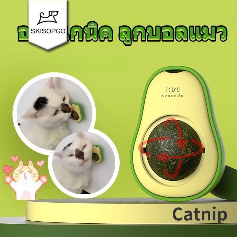 SKISOPGO พร้อมส่งจ้า Catnip กัญชาแมว ออร์แกนิค ลูกบอลแมว แคทนิป ของเล่นแมว บอลcatnip แบบเลีย แมว ...