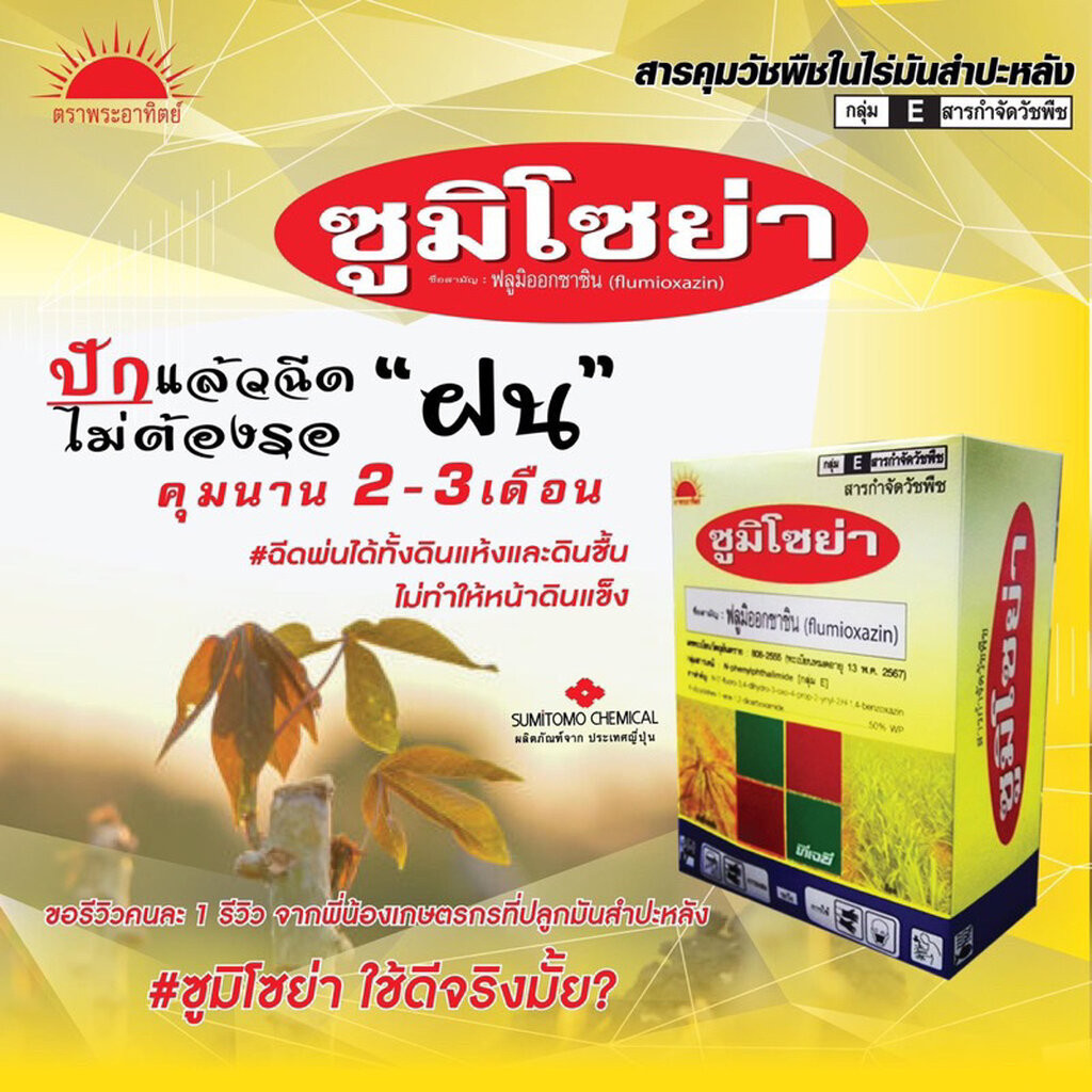 TJC(ทีเจซี) ซูมิโซย่า มีสองขนาดให้เลือก | Shopee Thailand