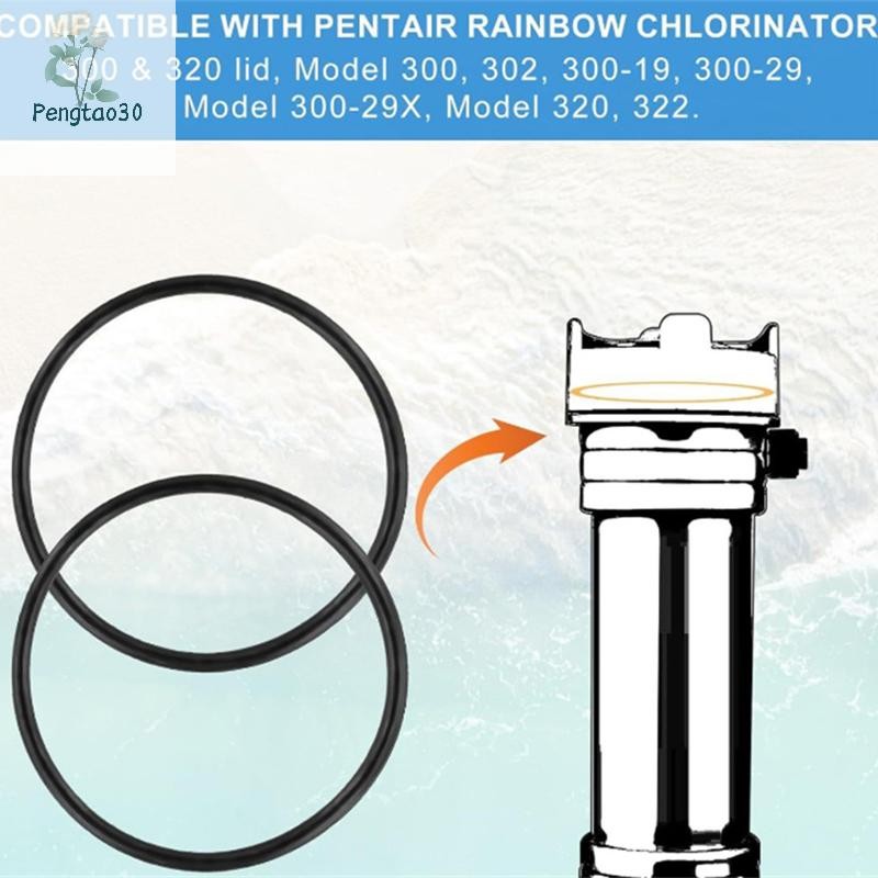 [Eao] 2 ชิ้น R172009 ปะเก็นเปลี่ยน O-Ring สําหรับ PENTAIR เครื่องป้อน ...