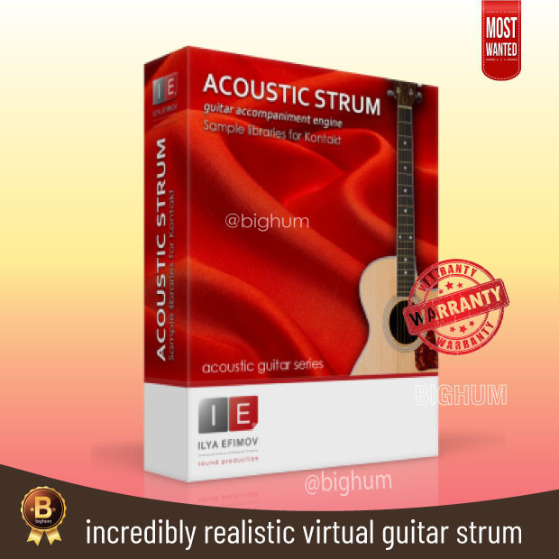 ilya efimov acoustic guitar strum | Kontakt software | Win/mac | Shopee Thailand