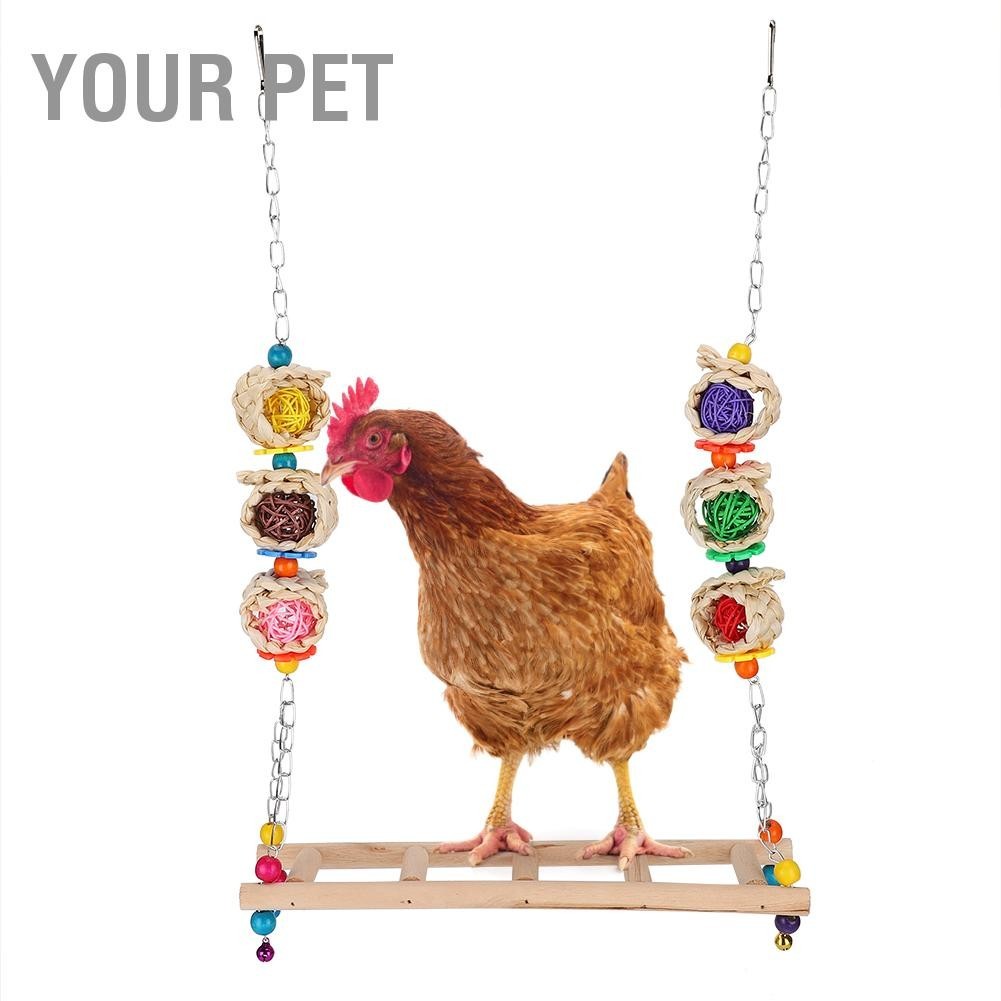 Your Pet Wooden Chicken Hanging Swing Toy Bird Parrot Climbing Stand ...