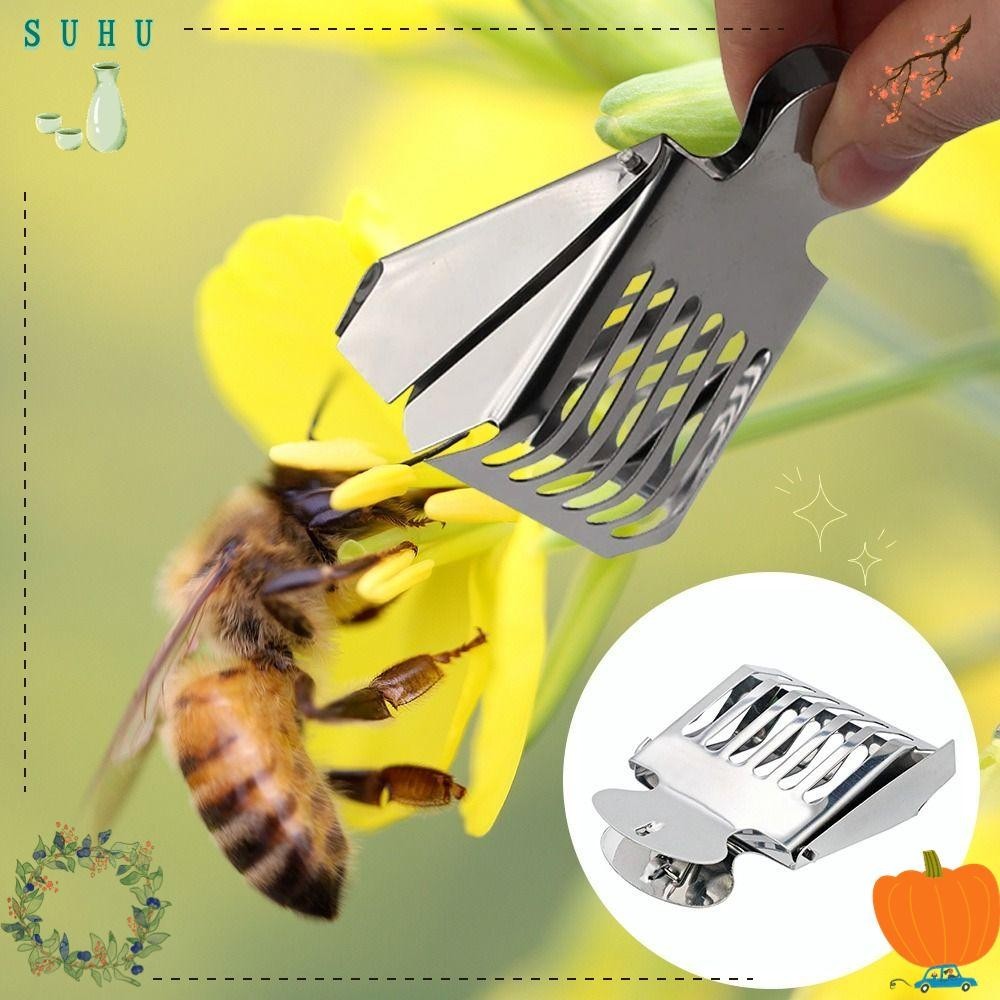 Suhu 3 ชิ้น Queen Bee Cages คลิปทนทาน Beekeeper Equip Beehive แมลง ...