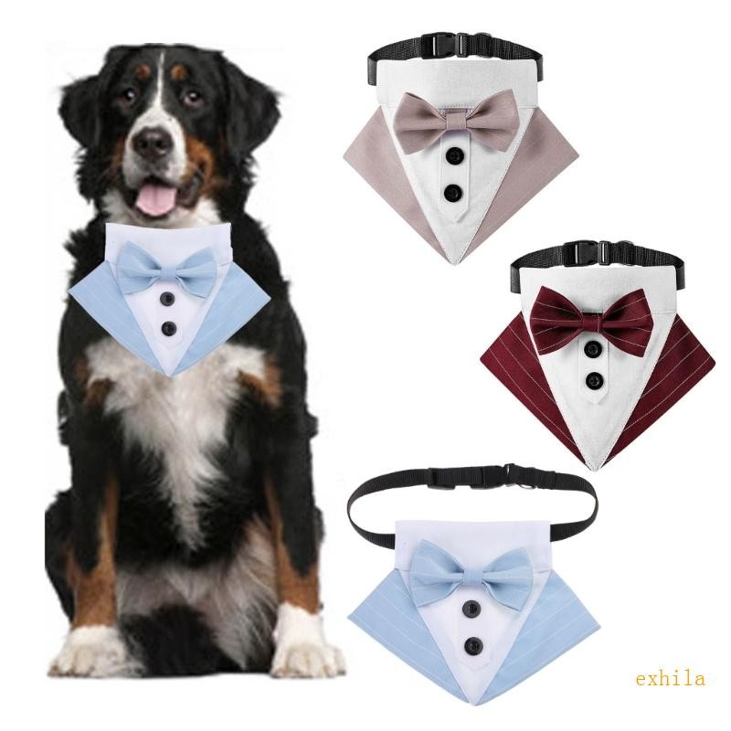 Exhila Cat Collars Suit Collar with Tie Elegant Prince-Collar Photo ...