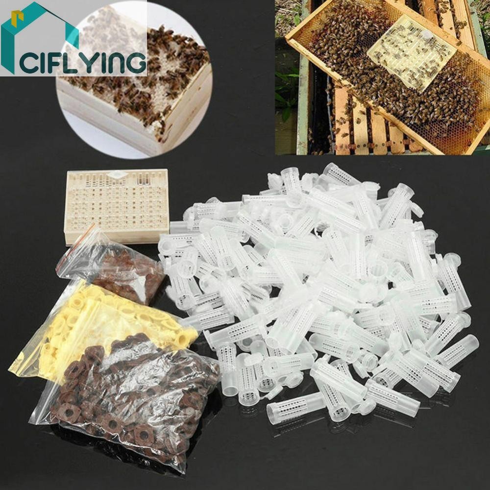 120 ชิ้น Bee Cell ถ้วย Queen Rearing System เครื่องมือการเลี้ยงผึ้ง ...