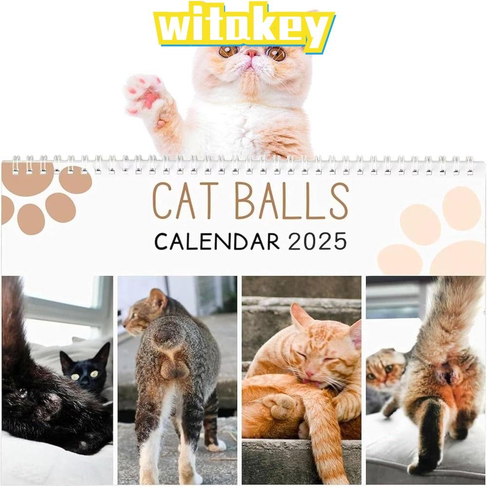 Witakey 2025 ปฏิทินติดผนัง, ปฏิทินแมวแปลก Quirky 2025, ของขวัญ Gag ตลก 12 รายเดือน Hangable Cat ...