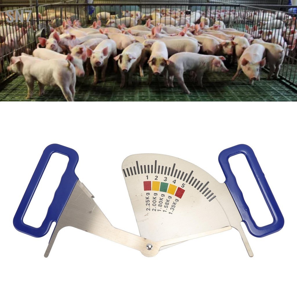 SN7 Sow Backfat Caliper สแตนเลส Feeding Management สภาพร่างกายไม้บรรทัด ...