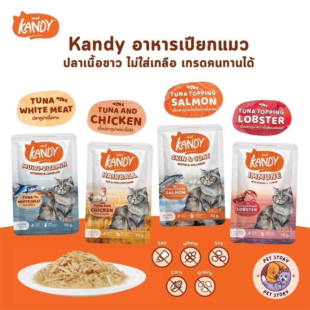 Kandy แคนดี้ อาหารเปียกแมว ไม่ใส่เกลือ ผลิตจากปลาเนื้อขาว ขนาด 70 กรัม ...