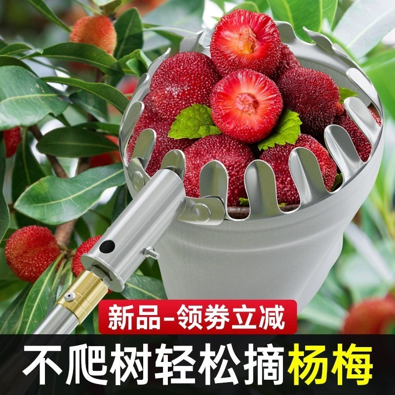 New Product#10Multi-Functional Stainless Steel High-Altitude Fruit ...