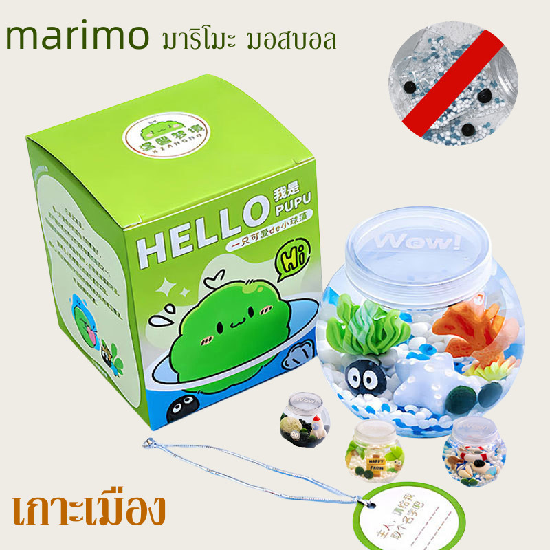 ☘️พร้อมส่ง marimo มาริโมะ มอสบอล ชุดพร้อมเลี้ยงมาริโมะ เหมาะสำหรับให้เป็นของขวัญสำหรับคนที่รัก ...