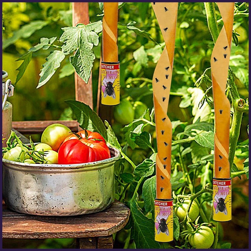 Fly Sticky กระดาษม้วน 26.77 นิ้วกลางแจ้ง Fly Traps สําหรับ Patio ...