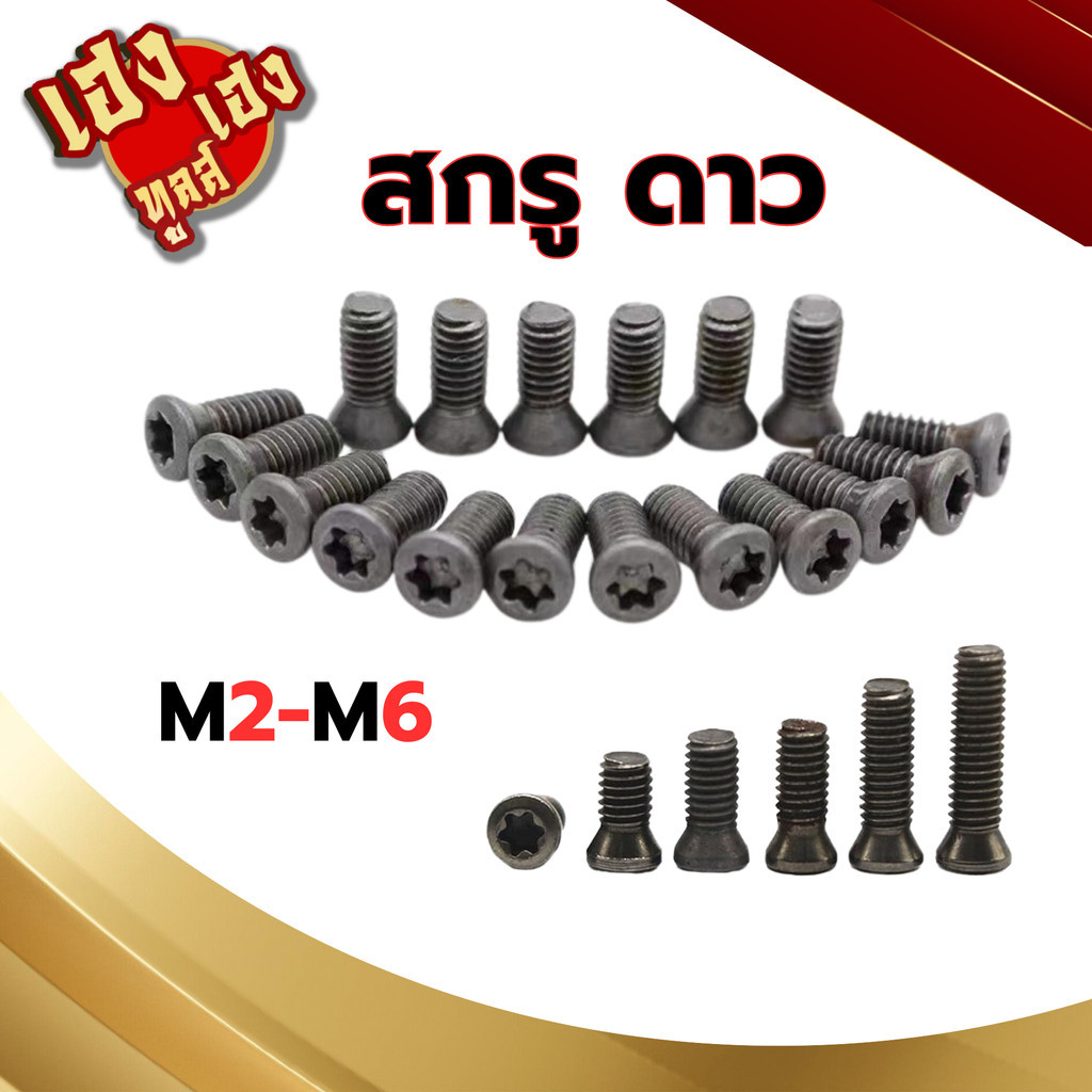 น๊อต สกรู สกรูเม็ดมีด สกรูยึดเม็ดมีด สกรูดาว Screw Torx cutting tools สกรูยึดมีดกลึง M2-M6 10ตัว ...