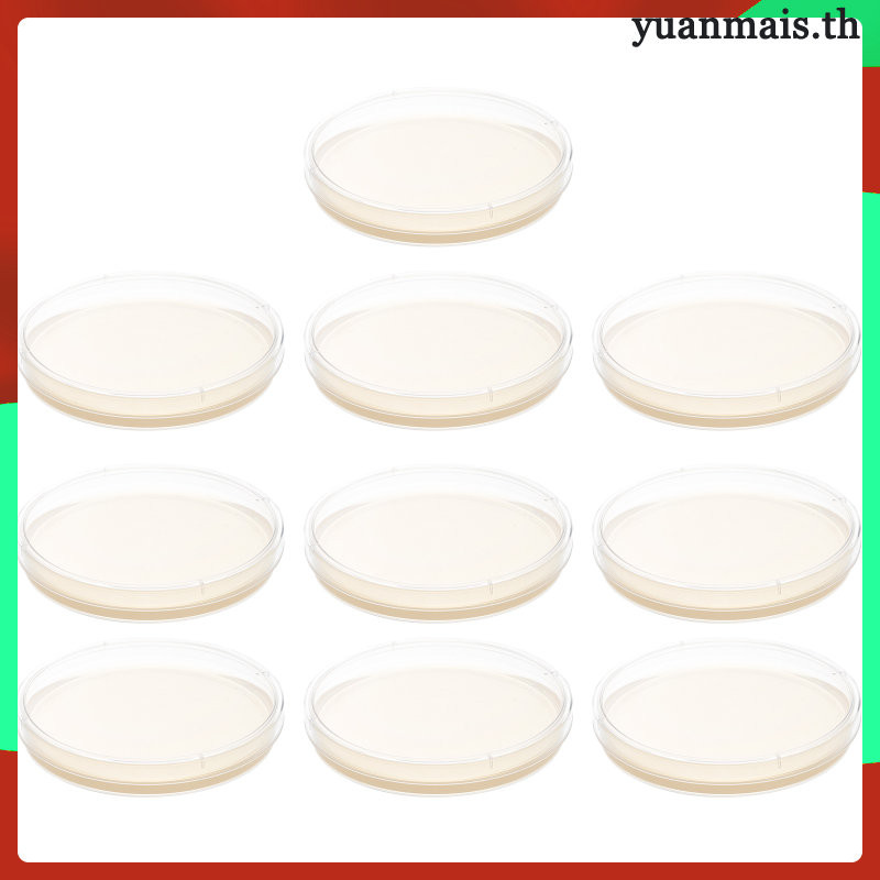 Nutrient Agar Plate 10 ชิ้นจาน Labs Petri Kids Science Fair Project Kit ...