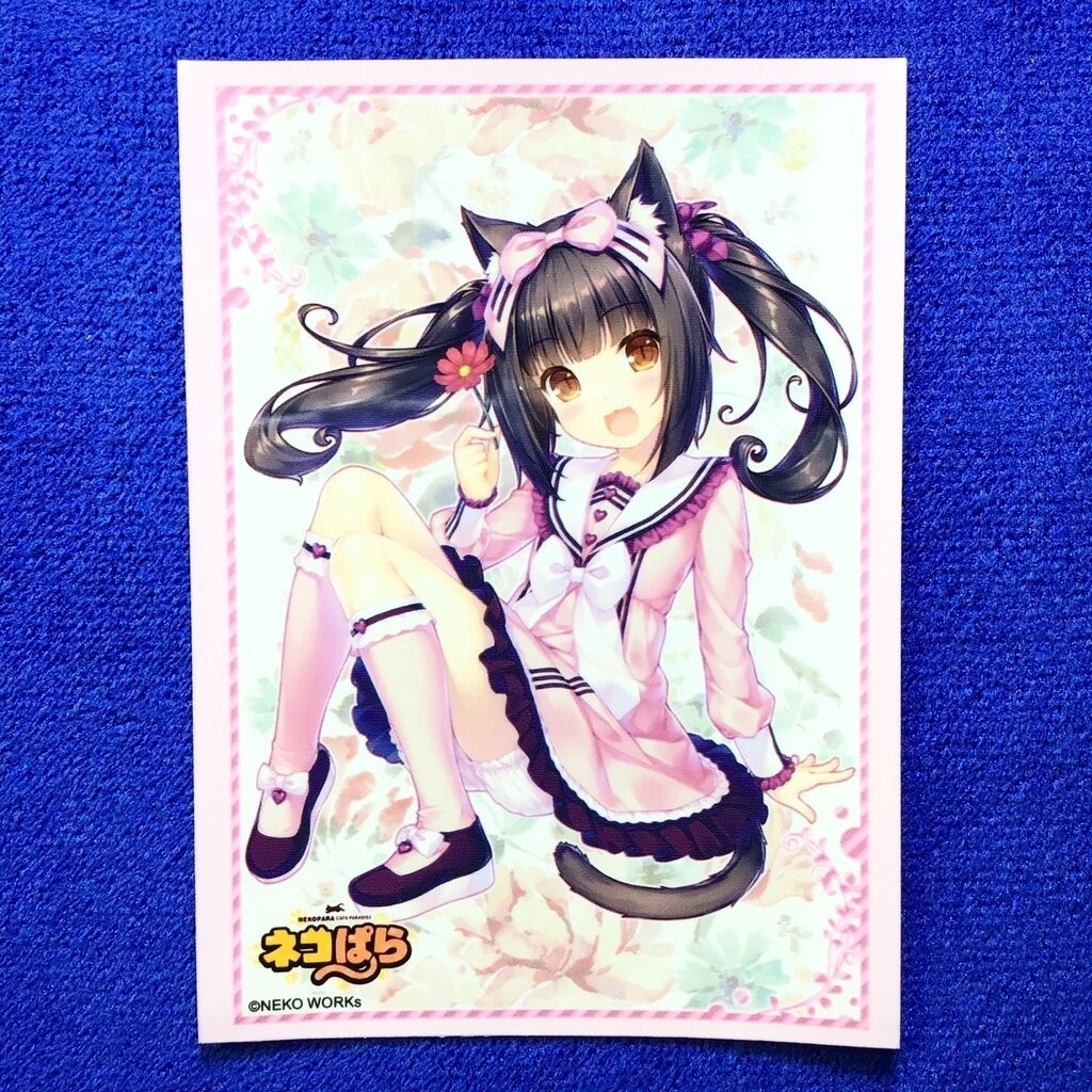 Vol.2494 - Nekopara Kitten Chocola (Single) | Shopee Thailand