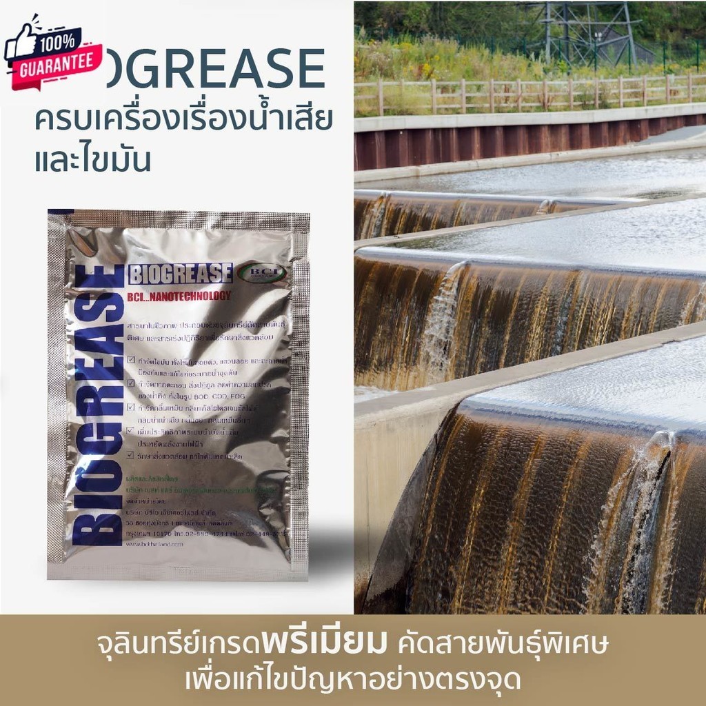 BIOGREASE จุลินทรีย์คัดสายพันธุ์สำหรัำัดน้ำเสีย ย่อยสลายไขมัน ปรัค่าน้ำ และกำจัดกลิ่นเหม็น แซอง ...