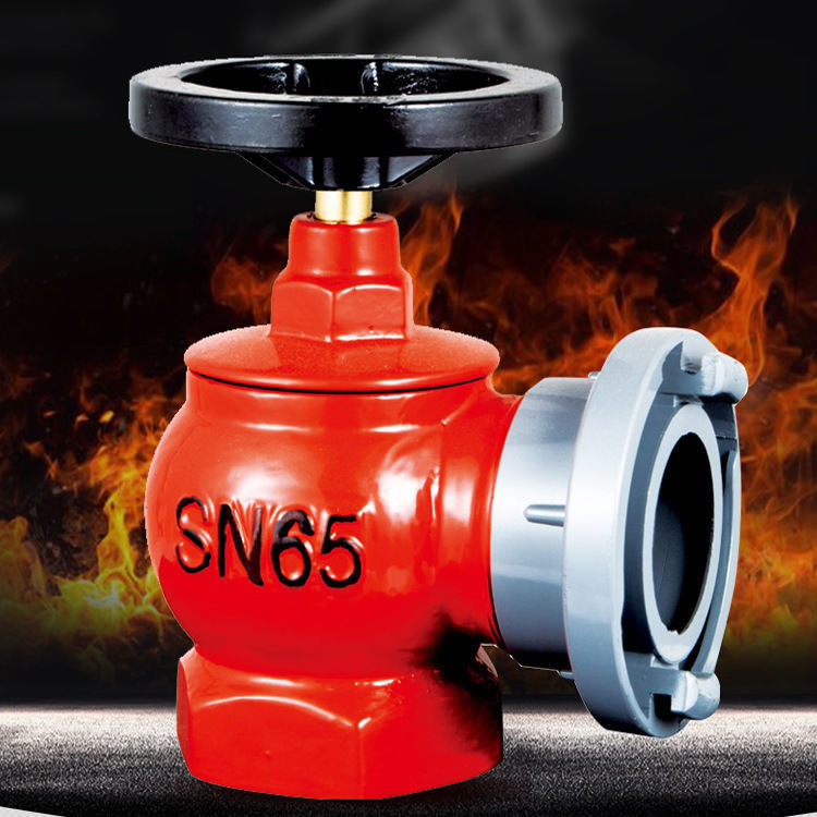SN65,50 Firefighting Indoor Hydrant Fire Hydrant Valve Fire Pipe ...