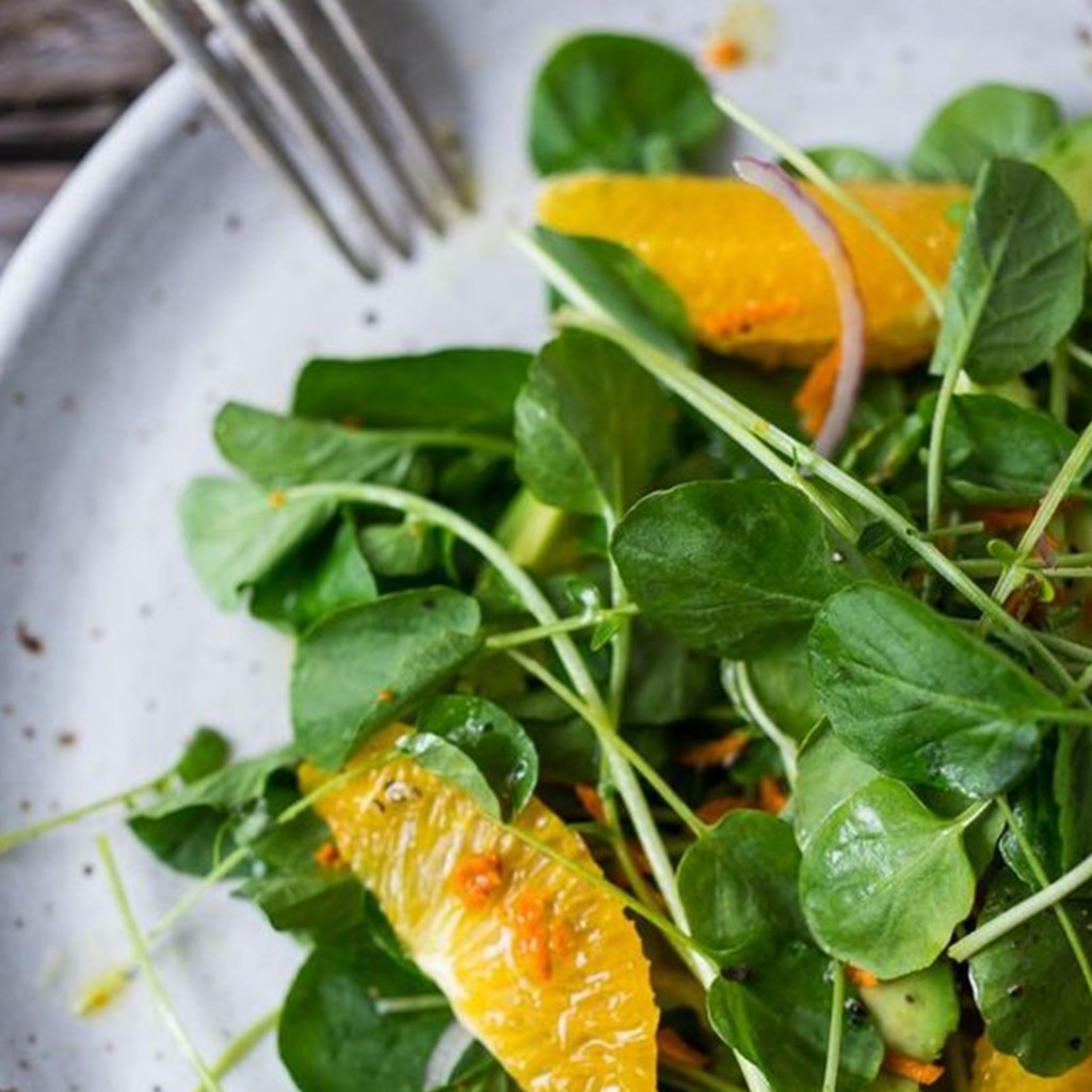 ต้นผักเป็ด[Joy weed] ออแกนิก[organic] ปลอดสาร ต้านมะเร็ง อนุมูลอิสระ ลด ...