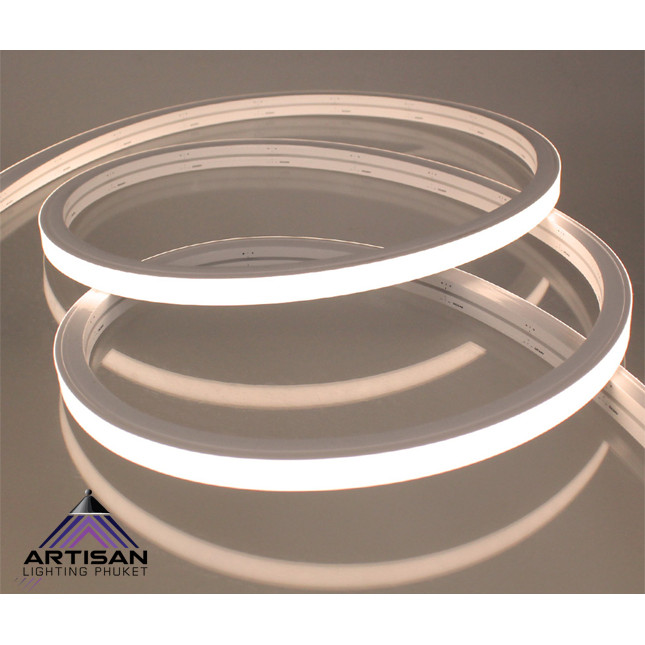 LED NEON FLEX 12W 24V 6500K IP67 | Shopee Thailand