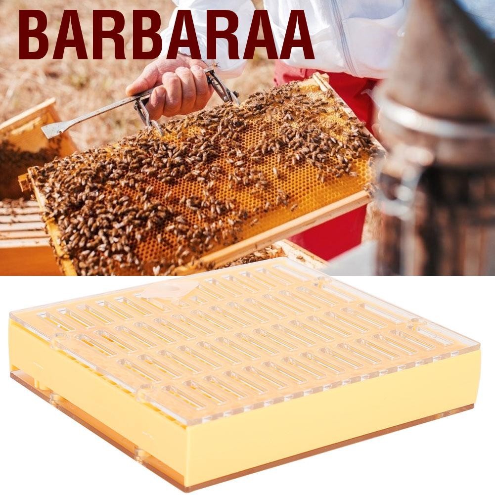 Barbaraa Bee King Breeding เครื่องมือ ตู้อบพลาสติกนกสัตว์เลี้ยงสัตว์ ...