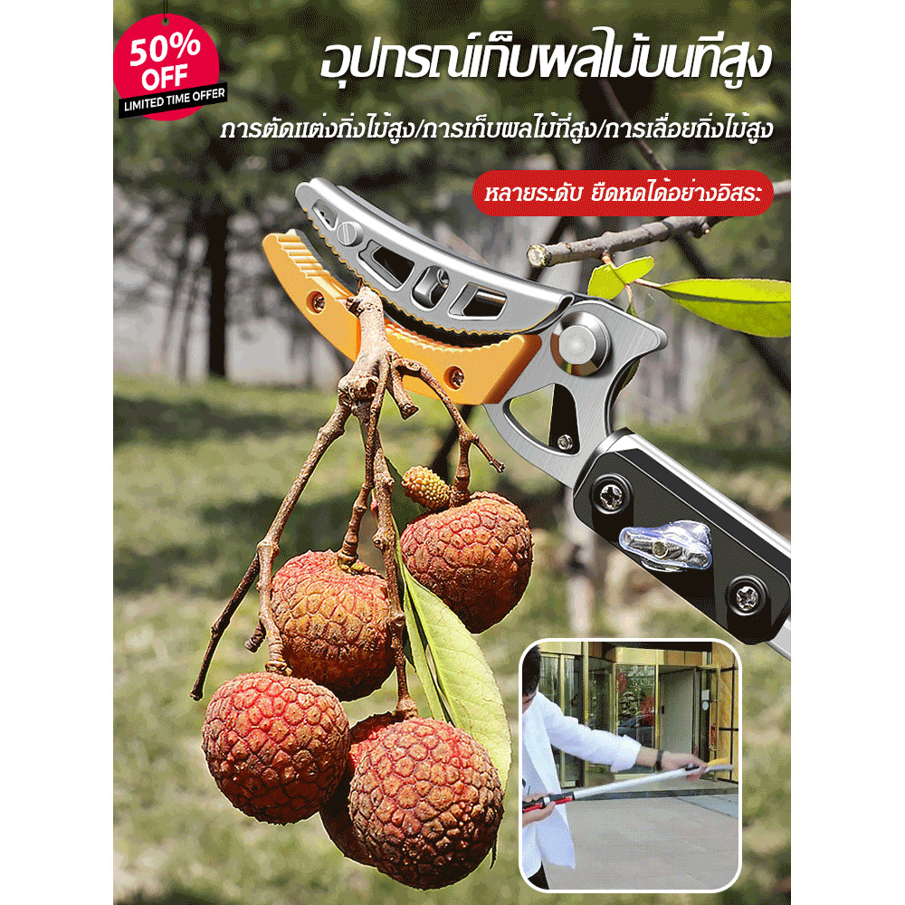 Lychee Picker Extended Retractable กรรไกร High-Aerial กรรไกรผลไม้ ...