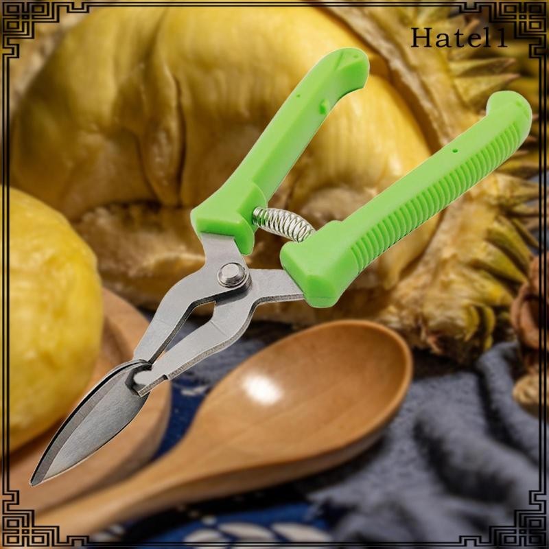 [Hatel] อุปกรณ์ที่เปิดเปลือกทุเรียน สําหรับห้องครัว ร้านขายของชํา ...