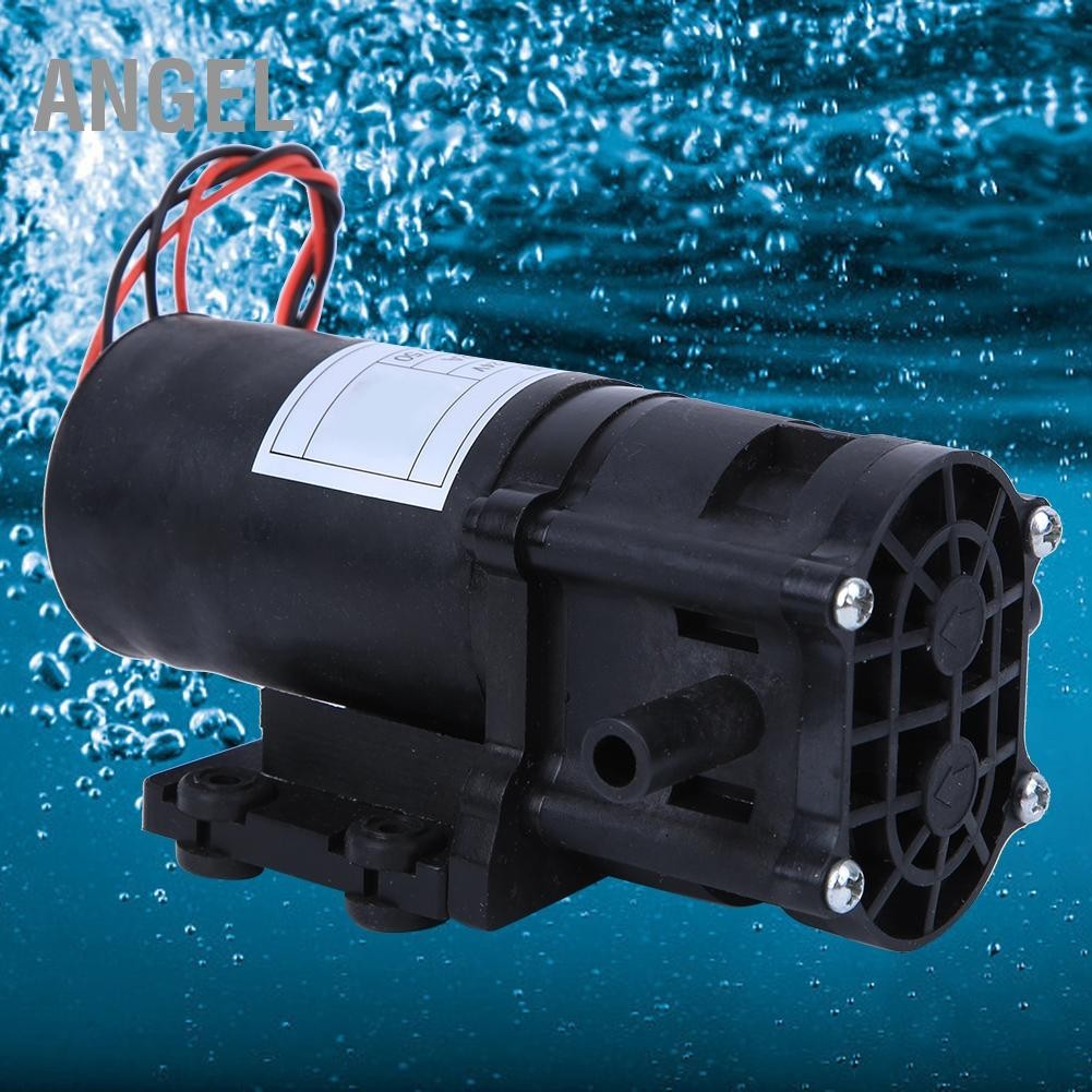 ANGEL DC 24V Self Priming Pump ปั๊มไดอะแฟรม ZC-750 สำหรับเครื่องกรองน้ำ ...