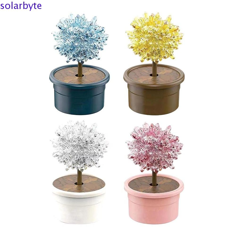 Solarbyte การทดลองทางวิทยาศาสตร์ของเล่น,เติบโตคริสตัลปลูกง่ายชุดปลูกต้นไม้คริสตัล,ศิลปะ STEM ของ ...