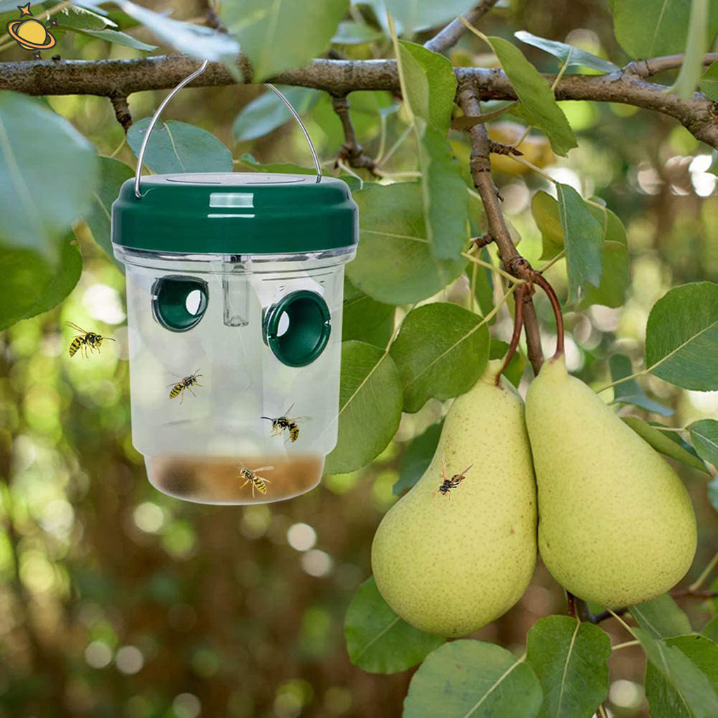 Wasp Trap น่าสนใจ Solar Wasp Trap พร้อมไฟ LED Bug Trap แขวน Killer Bee ...