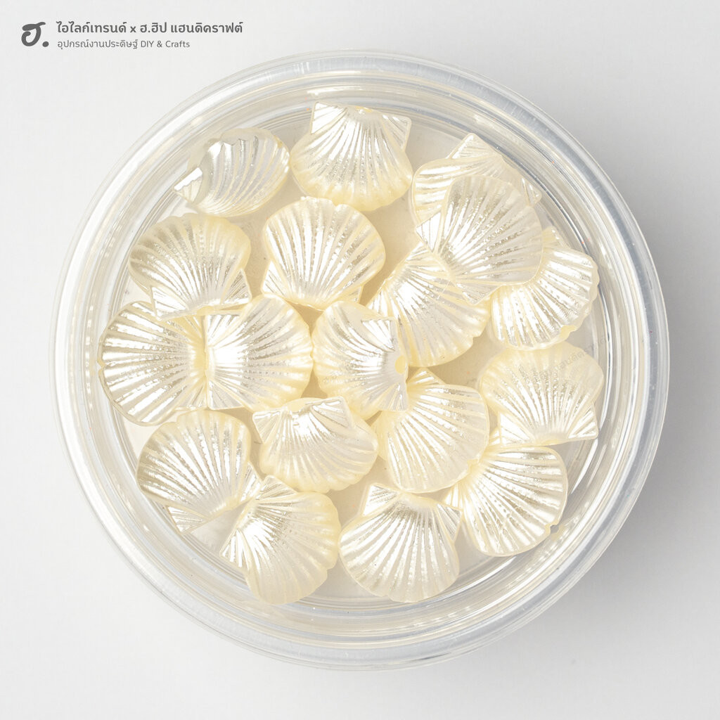 ลูกปัดตกแต่ง หอยเชลล์มุก Lustrous Shell | Shopee Thailand