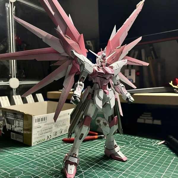 gundam plastic model kit Freedom Gundam Assemble รุ่น HG Sakura Raid ...