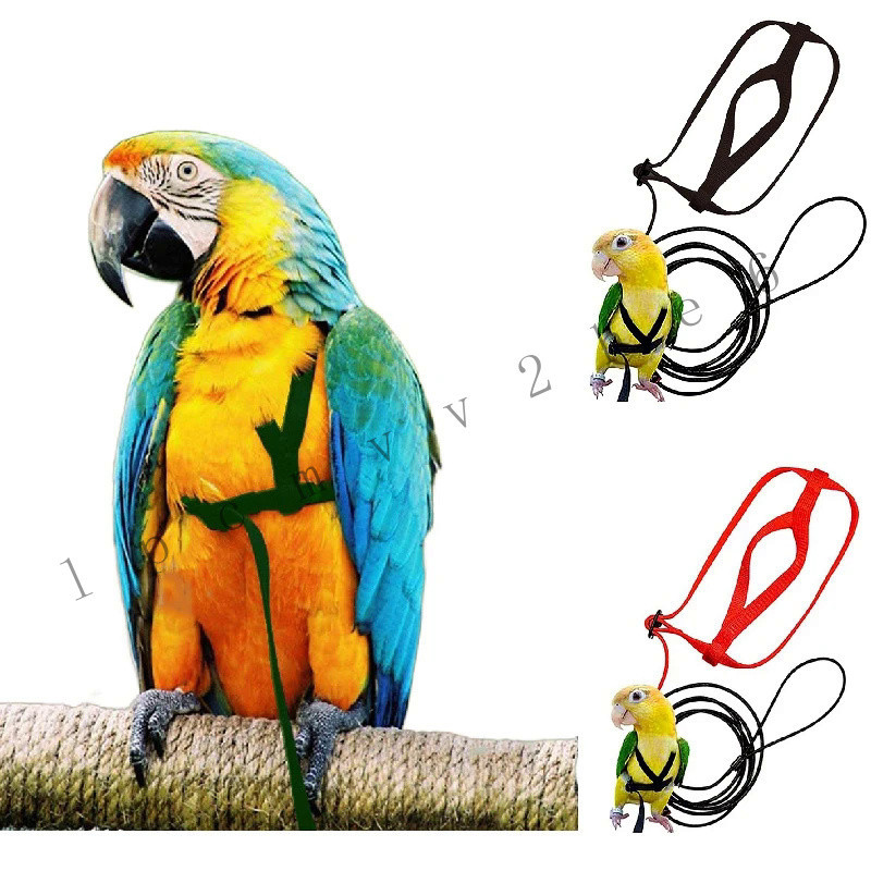Parrot Bird Harness Leash ปรับ Anti-Bite การฝึกอบรม Flying Traction ...