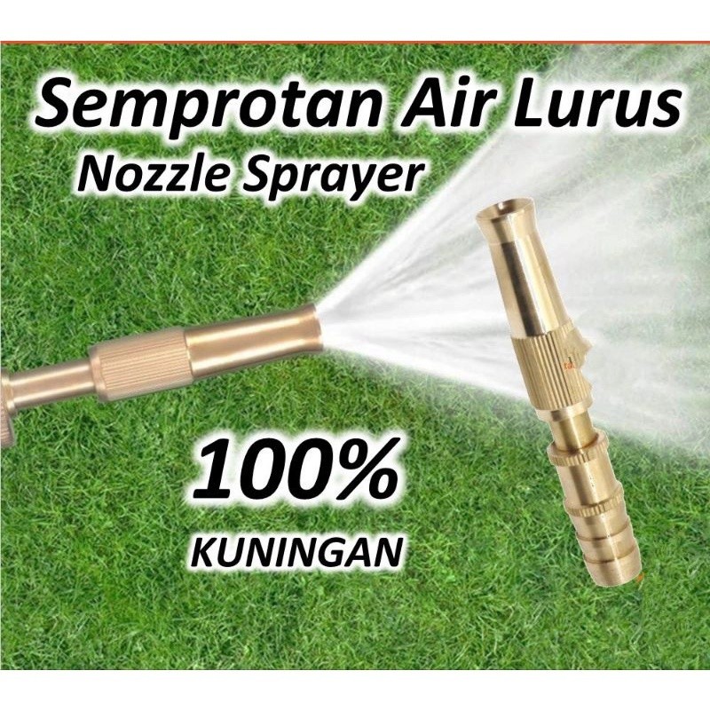 Ass STRAIGHT WATER SPRAY HEAD MATERIAL 100% BRASS NOZZLE SPRAY WATER ...