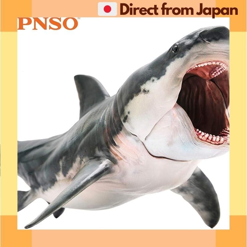 PNSO Megalodon Great White Shark Patton Shark Marine Life[Japan Shipped ...