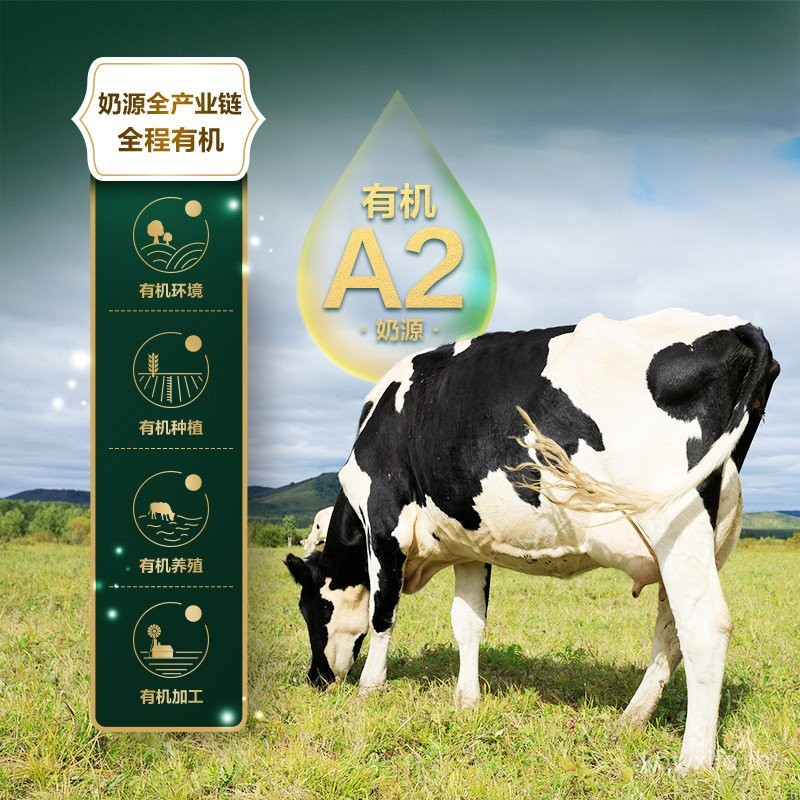 Beingmate Jing Ai นมออร์แกนิก A2 สำหรับทารกแรกเกิด นมผงขั้นตอน 1 108g พร้อม DHA [ลูกค้าใหม่ ...