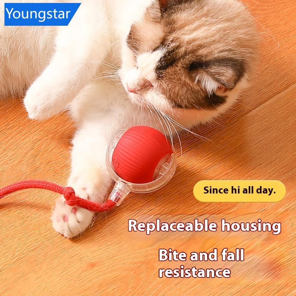 FFY Cat Interactive Ball ของเล่นอัตโนมัติ Rolling Ball Faux Tail ชาร์จ ...