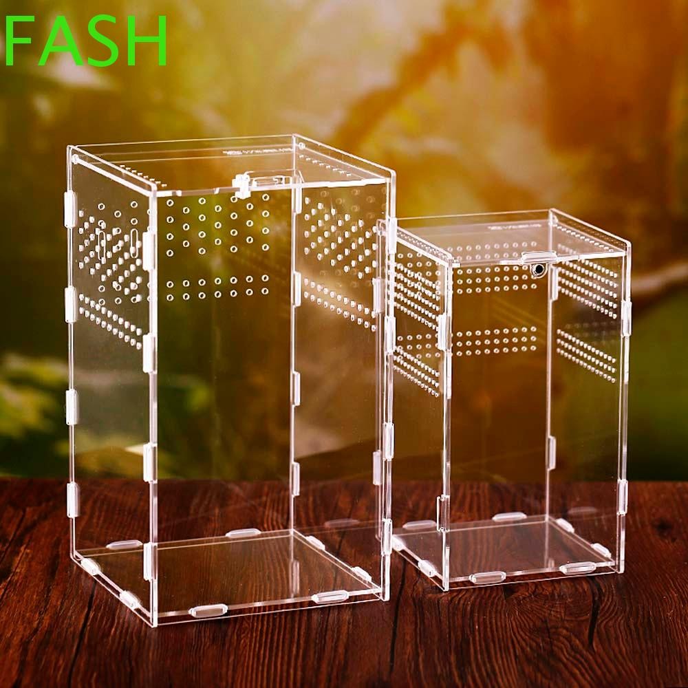 Fash Hatching Terrariums อะคริลิค Professional Hatcher คอนเทนเนอร์งู ...