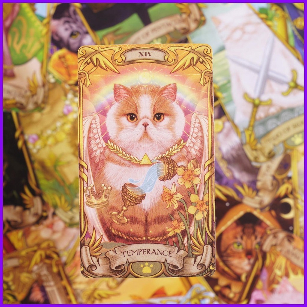Nine Lives Cat Tarot Fate Divination Tarot Deck 78 การ ์ ด Family Party ...
