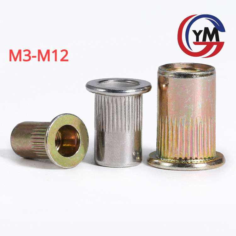 [YMH1] สแตนเลส 304 รีเวทนัท ชุบซิงค์รุ้ง หัวน็อตรีเวท M3 M4 M5 M6 M8 M10 M12 Rivet Nut Yellow ...
