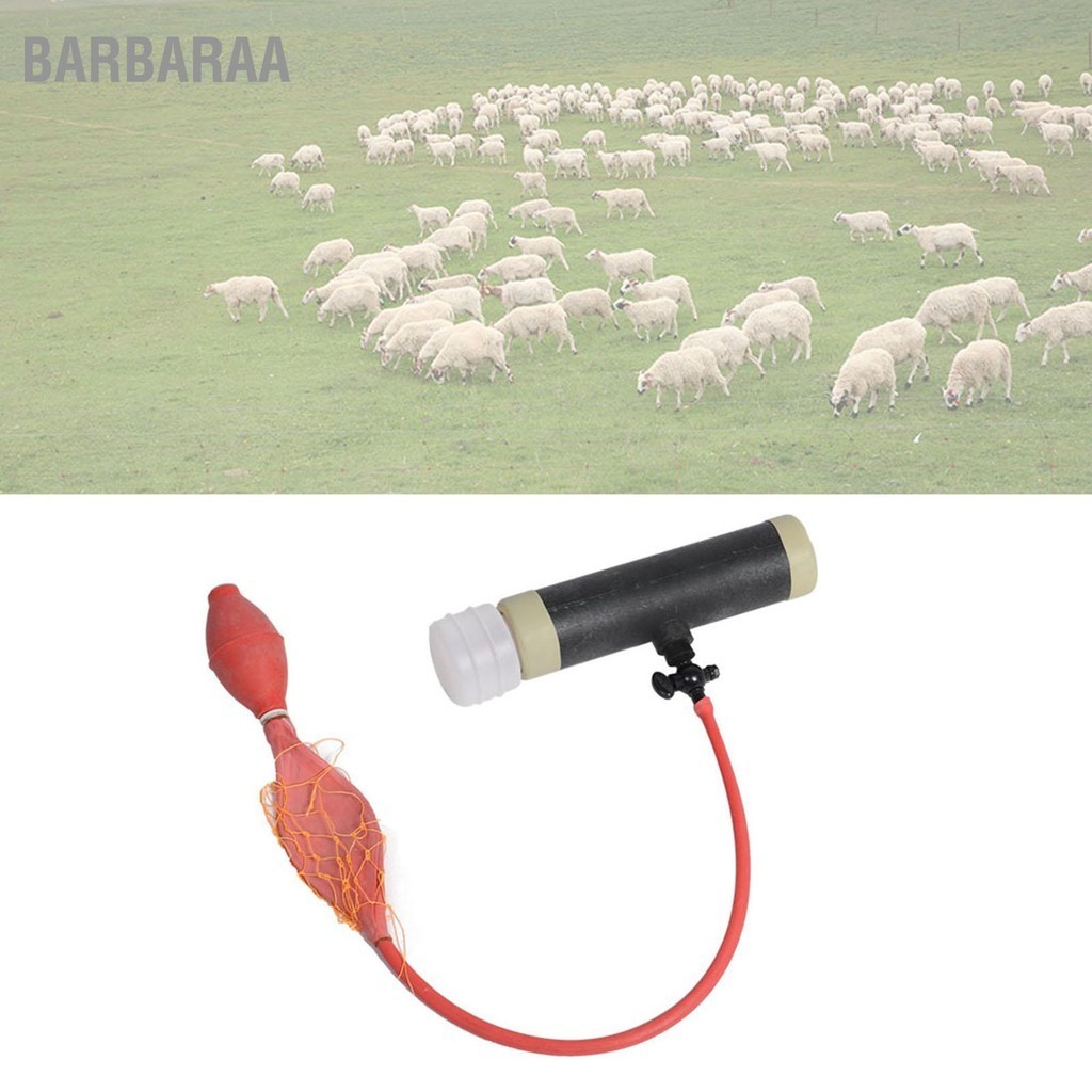 Barbaraa อุปกรณ์เก็บน้ำอสุจิ Ram Ox เครื่องมืออุทานช่องคลอดเทียม ...