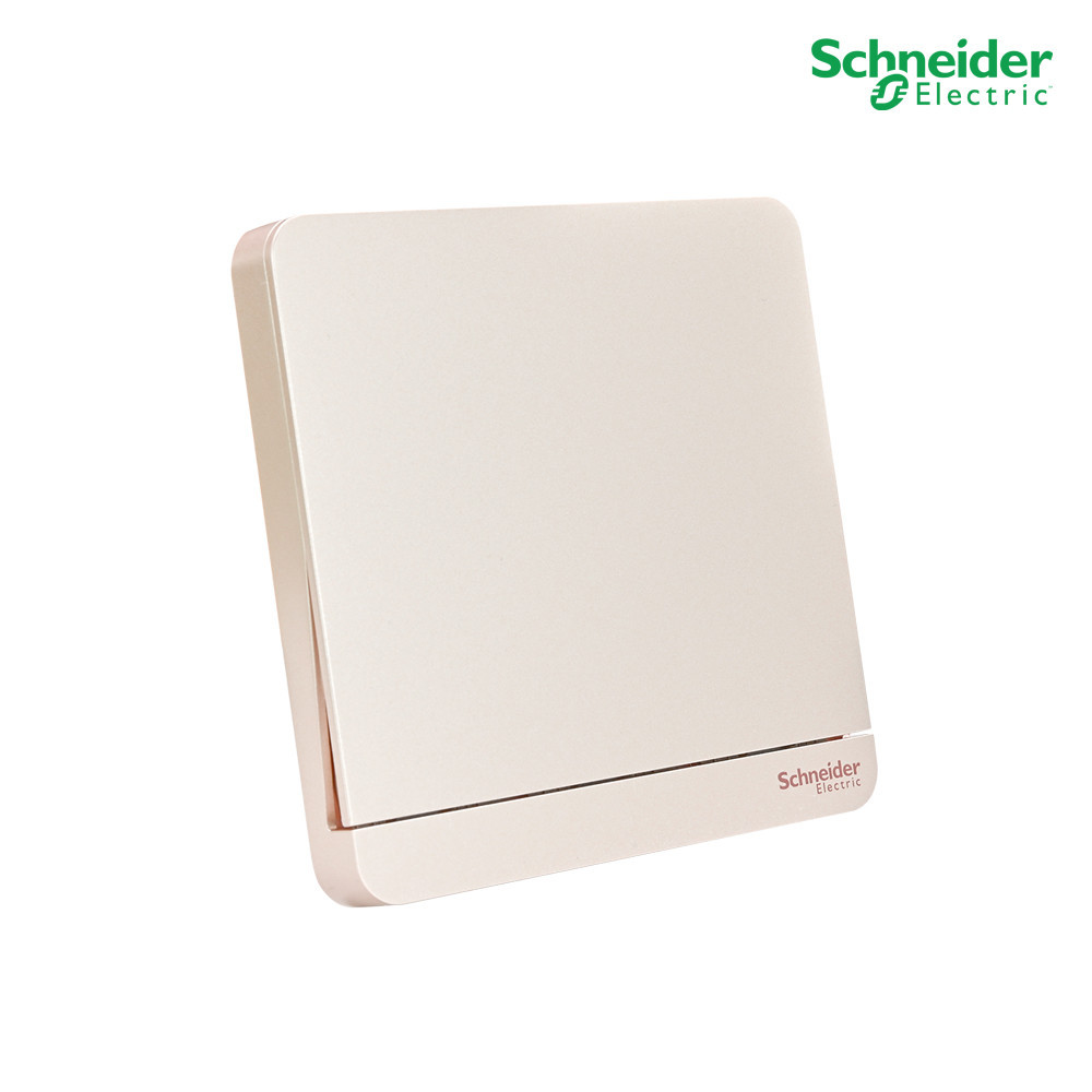 Schneider สวิตช์ไฟทางเดียว 1 ช่อง One Way Switch 16AX, 250V สีทอง รุ่น ...