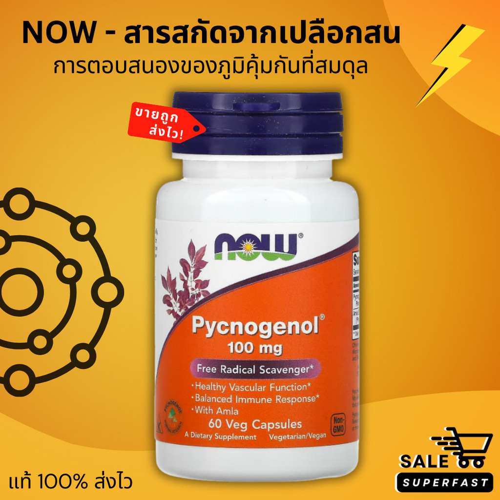 NEW LOT! Exp.11/2026, NOW Foods, Pycnogenol, 100 mg, 60 Veg Capsules ...