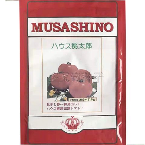 Momotaro Tomato Seeds Japan Musashino Momotaro Tomato Seeds Fruit Pink ...