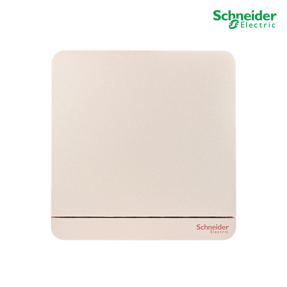Schneider สวิตช์ไฟทางเดียว 1 ช่อง One Way Switch 16AX, 250V สีทอง รุ่น ...