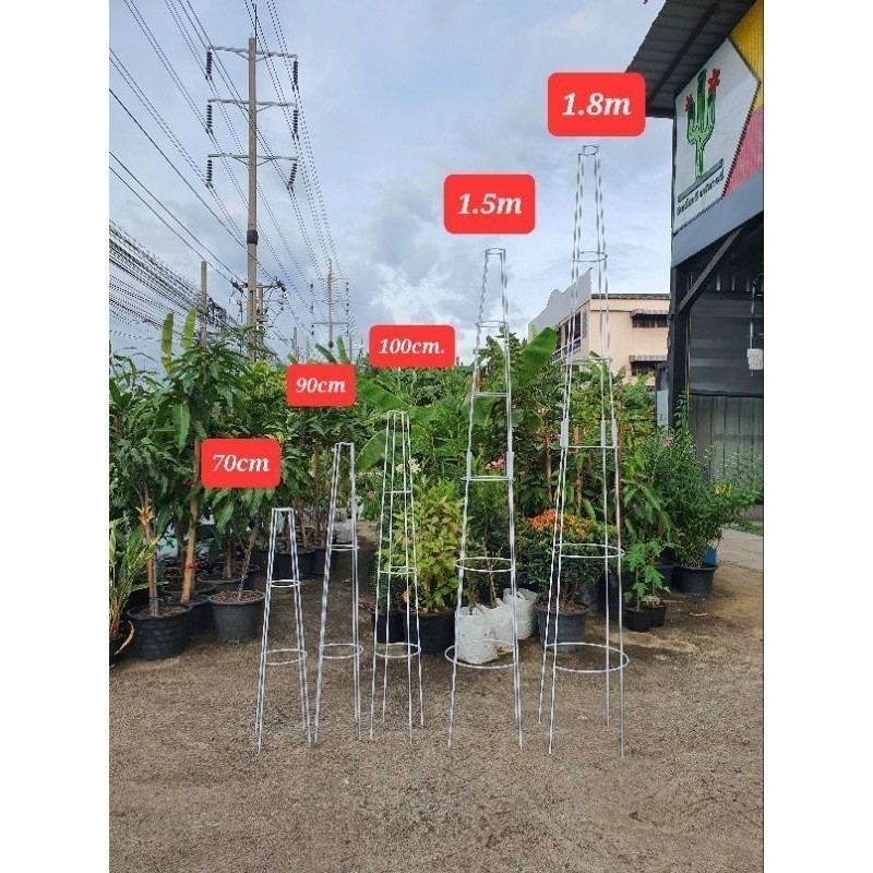 ซุ้มเหล็ก T-Rose ทรีโรส ซุ้มพวงคราม แข็งแรง ซุ้มกุหลาบ 70cm , 90cm , 100cm ซุ้มกุหลาบ | Shopee ...