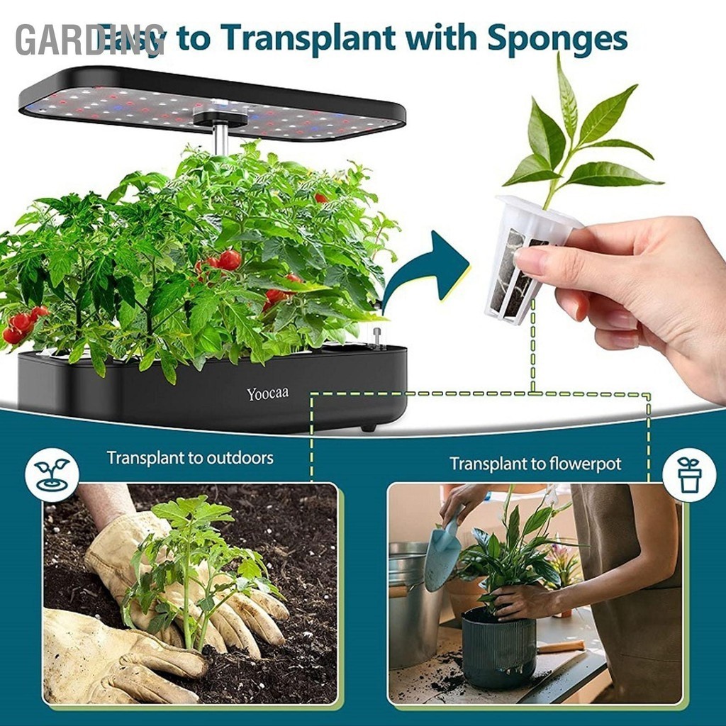 Garding 30 ชุด Plant Seed Starter Pods Kit Grow ตะกร้าครอบคลุมฟองน้ำสติ ...