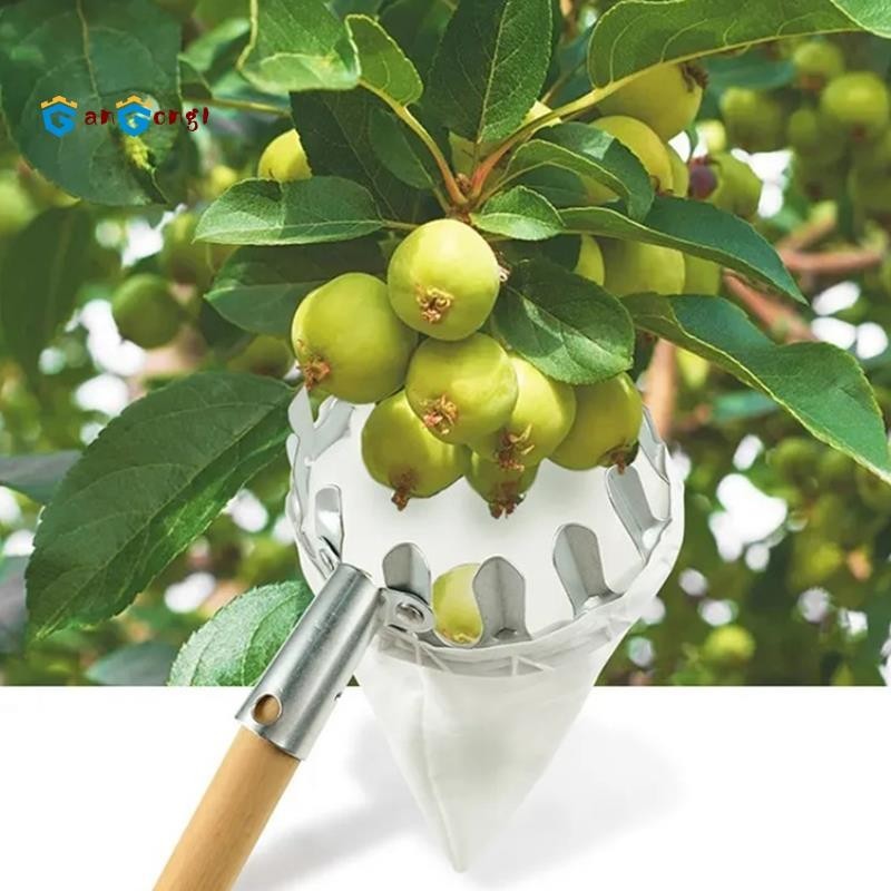[gangong1 ] Metal Fruit Picker Fruit Catcher Orchard Gardening Peach ...