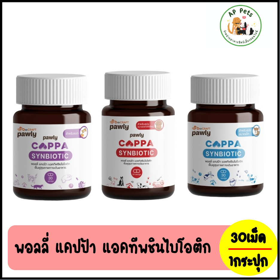 (AP) Pawly Cappa Synbiotic พอลลี่ แคปป้า แอคทีพชินไบโอติก 1 กระปุก (30เม็ด) | Shopee Thailand