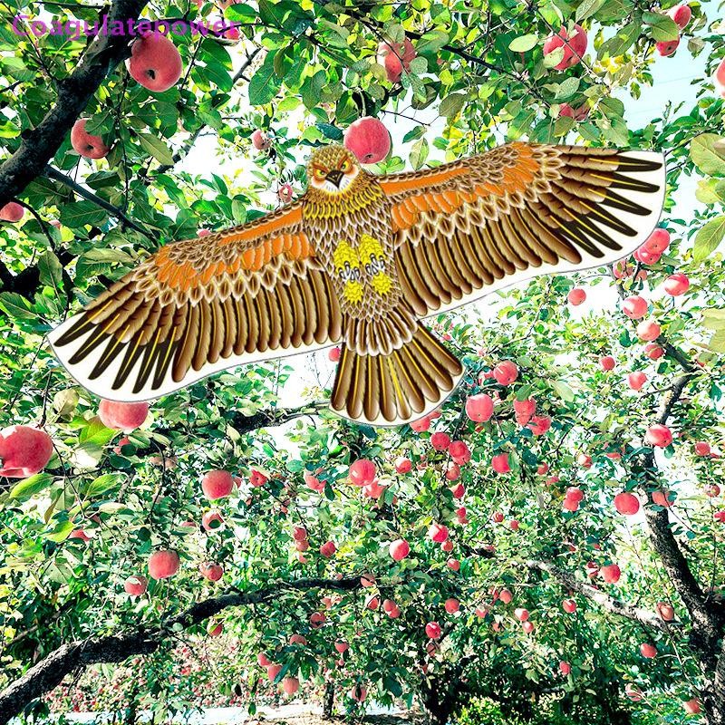 Coa Eagle Kite 1.6m พิมพ์ผ้าสดใส Flat Eagle สีสดใสไฟเบอร์กลาส Rod พับ ...