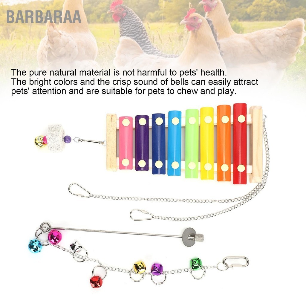 Barbaraa ระนาดจิกเสียงการผลิตชุดของเล่นส้อมผลไม้สแตนเลสสำหรับนกแก้วไก่ ...